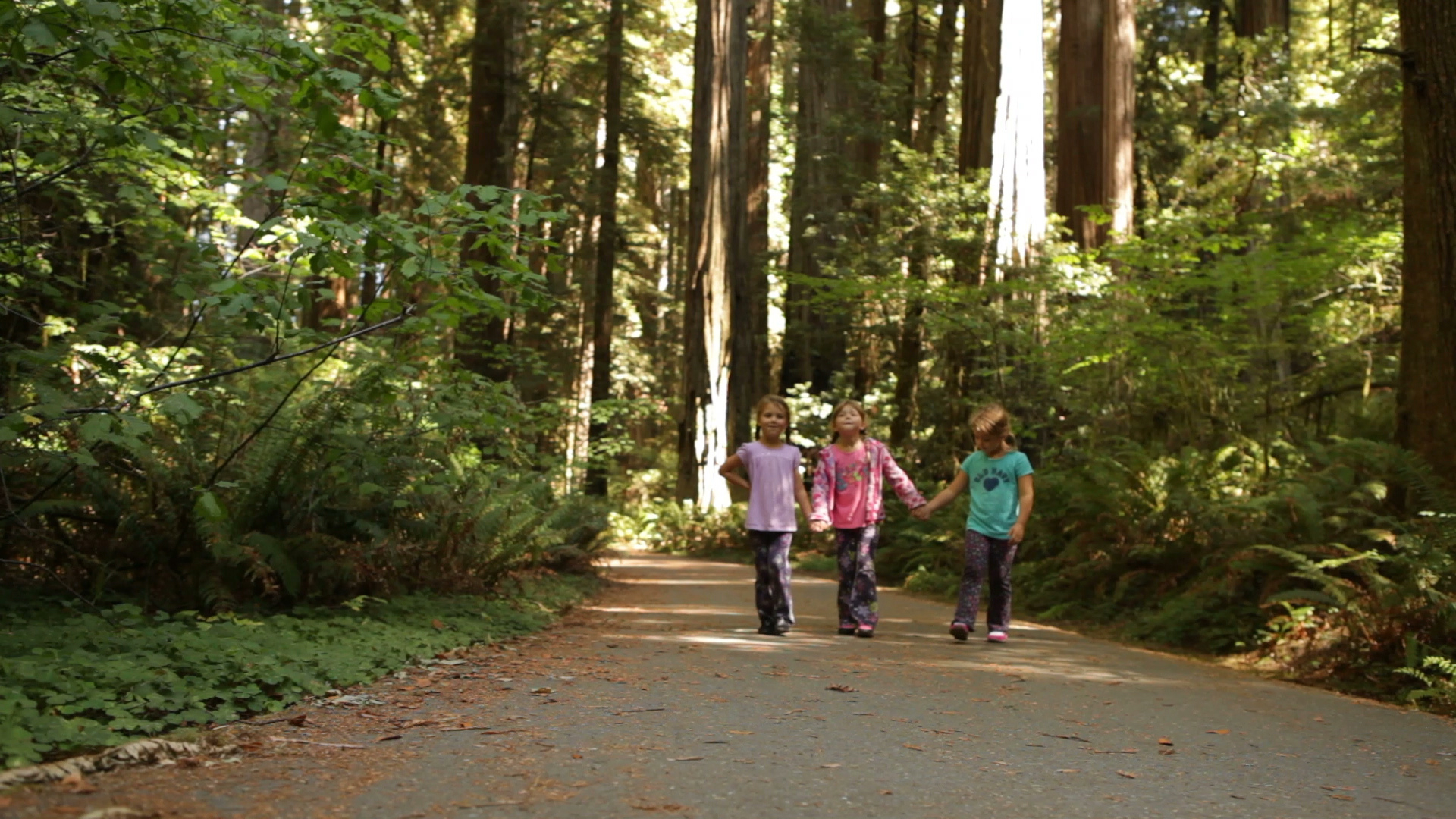 Three little girls walking in forest